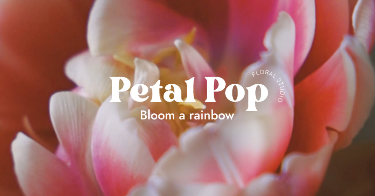 Petal Pop Floral Studio Singapore